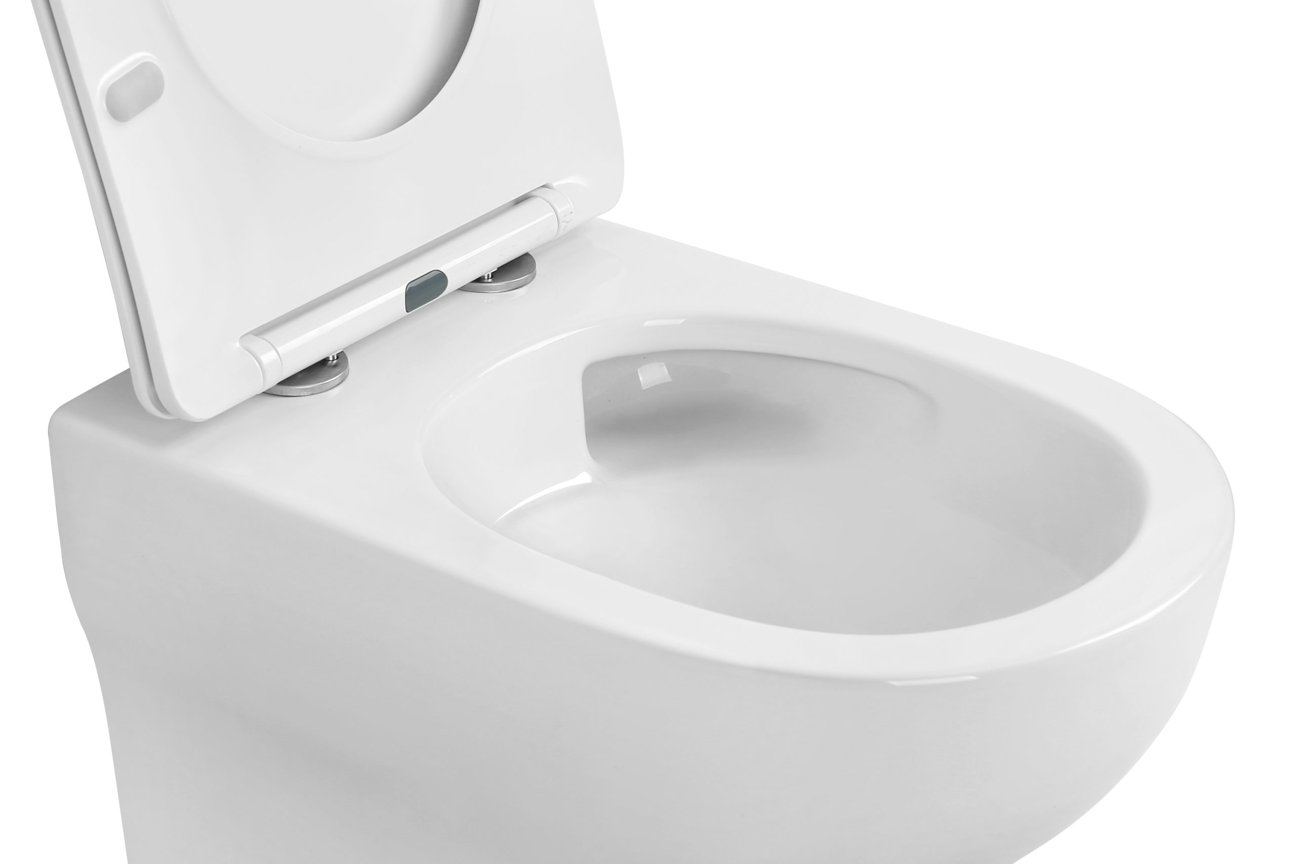 Wall Mounted Toilet Combo Set, In-Wall Toilet Tank Carrier, Dual-Flush ...
