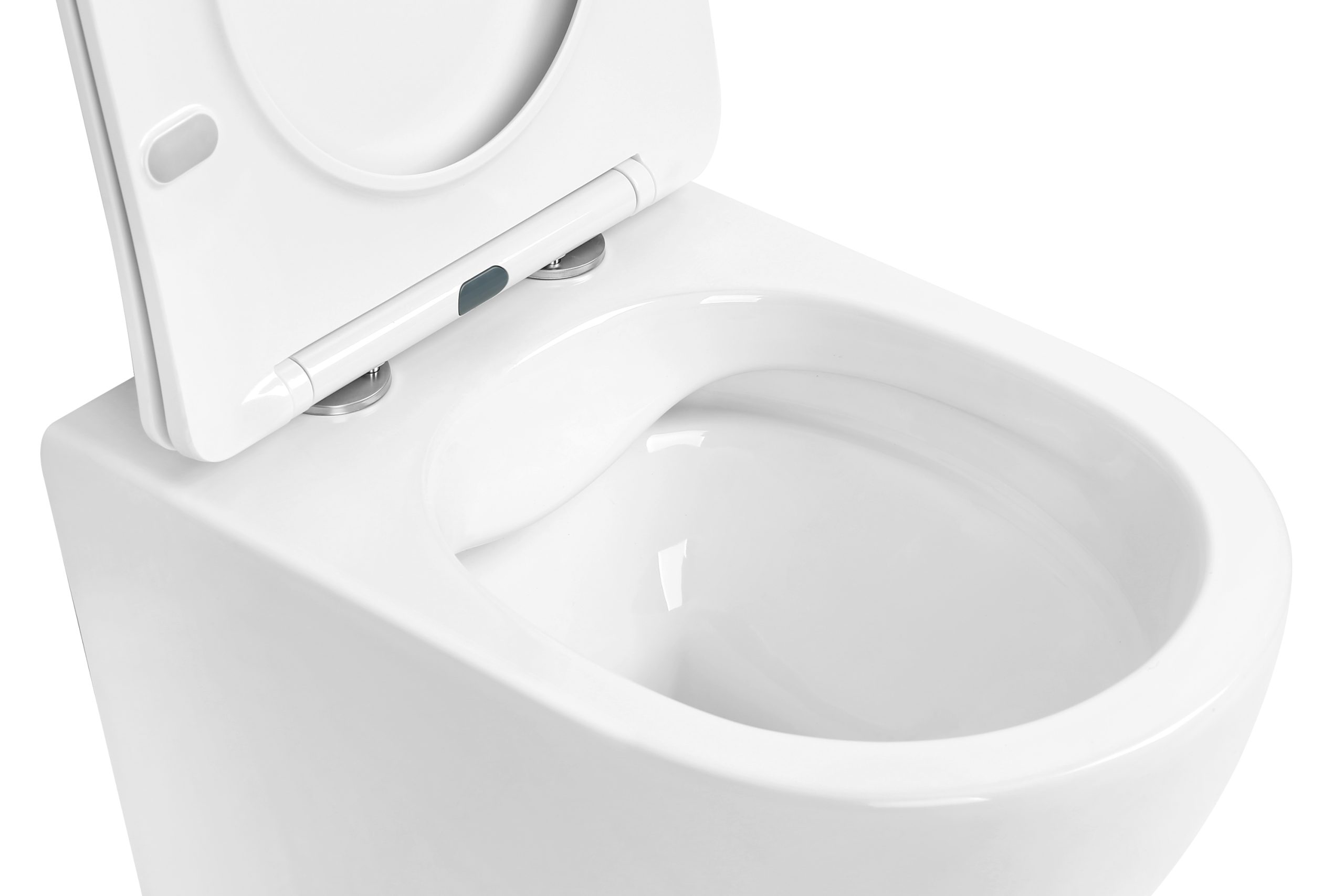 Wall Mounted RimlessToilet Combo Set, In-Wall Toilet Tank Carrier, Dual ...